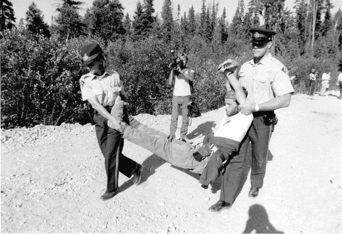 Temagami, Old Growth and Canoeing – Canadian Environmental Law Foundation